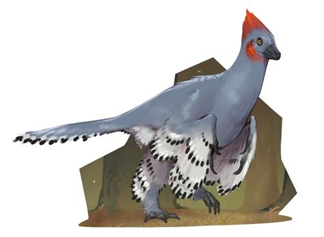 Original Drawn By Combosanddoodles Danbooru