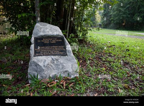 Memorial To Dr Nico Van Strien At The Sumatran Rhino Sanctuary Way Kambas National Park
