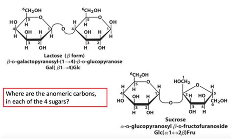 Solved Where Are The Anomeric Carbons On Each Of The Four