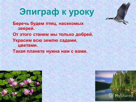 Презентация на тему Наши младшие друзья Урок закрепление Эпиграф к