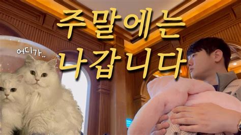 🍼고양이와 함께하는 75일~76일 아기 기록 육아 브이로그 휴대용유모차 조립 외출했던 주말 카페 마트 장보기 Youtube