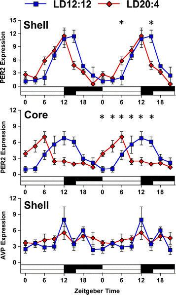 The Amplitude Of Avp Expression In The Scn Is Decreased By Long Day Download Scientific Diagram