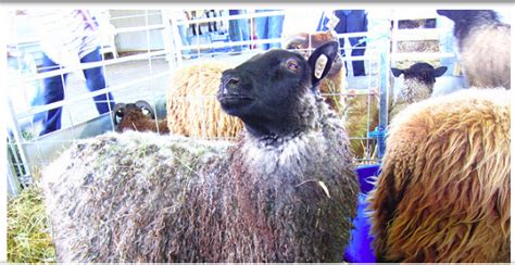 Pose Detection Using Computer Vision Analytics Vidhya