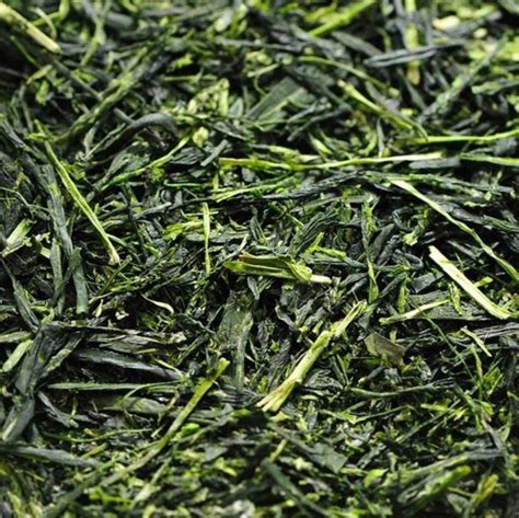 Té Sencha Qué Es Beneficios Y Propiedades Natursan