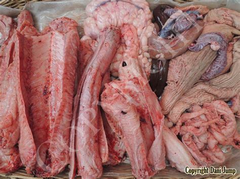 Bees Unlimited Python Meat