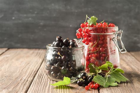 어두운 배경에 다양한 유리 항아리에 신선한 잘 익은 빨간 검은 건포도 베리 수평 프레임 선택적 초점 0명에 대한 스톡 사진 및