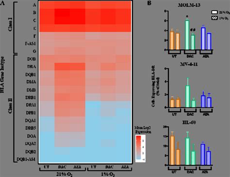The Effect Of Hypoxia On Hma Induced Hla Expression A Molm 13