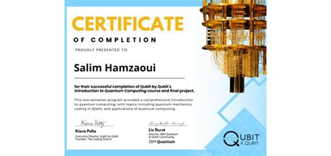 Salim H On Linkedin Introduction To Quantum Computing The Coding School