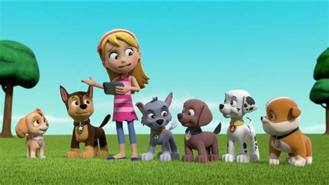 Chasegallerypups And Katie Stop The Barking Kitty Crew Paw Patrol