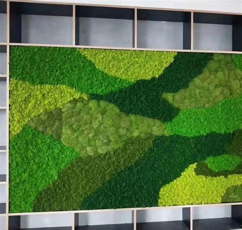 园林景观 永生苔藓 永生苔藓 陕西永生苔藓 西安永生苔藓