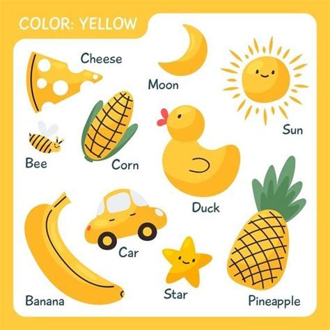 Free Vector Collection Of Yellow Objects And Vocabulary Words In