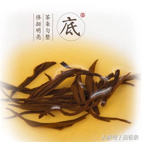 祁門紅茶 2017 每日頭條