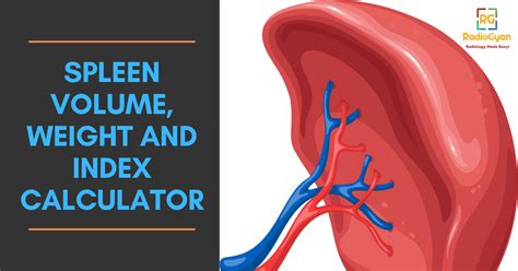 Spleen Volume Weight And Index Calculator Ct And Mri