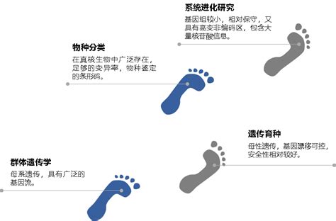 一文读懂细胞器基因组！ 知乎