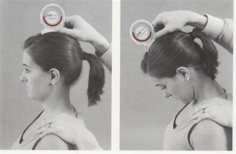 W19 Msk Active Vs Passive Rom Testing Flashcards Quizlet