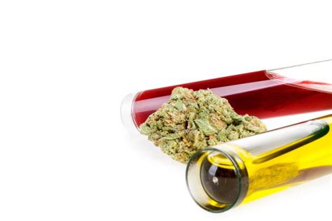 Learn The Facts About Drug Testing For THC May