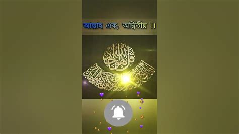 আল্লাহ যে কত মহান সৃষ্টি জগৎ তার প্রমান ।। Youtube