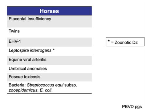 Repro Navle Equine Flashcards Quizlet