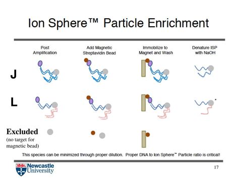 PPT Ion Torrent And Minion PowerPoint Presentation Free Download ID