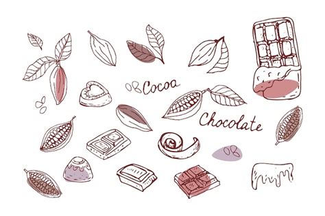 Premium Vector Doodle Sketch Chocolate And Cocoa Beans Outline Vector