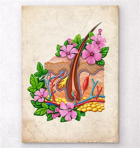 Floral Art Prints Anatomy Art Codex Anatomicus Tagged Various