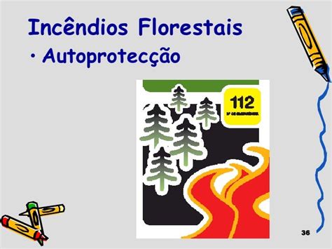 Incêndio Na Floresta