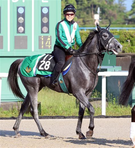 【京都新聞杯】状態良化でマイネルラウレアが巻き返す 宮調教師「前走よりも良くなった」 スポーツ報知