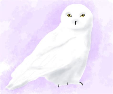 Rip Hedwig By Chinchillasofia On Deviantart
