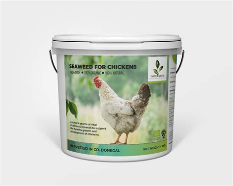 Seaweed For Chickens Better Plants