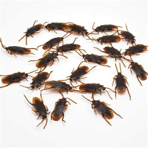 6c Special Lifelike Model Simulation False Rubber Roach Bug Roaches Toy Funny Trick Joke Toys