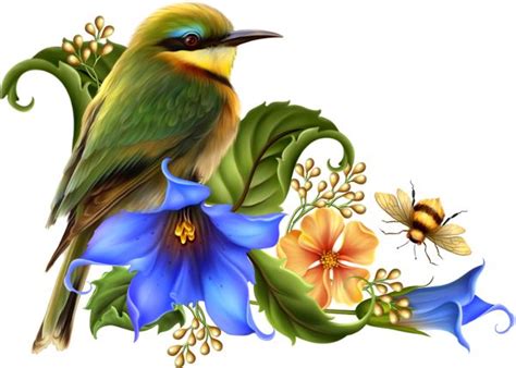 Птицы в цветах Искусство птицы Красивые птицы Фотографии птиц