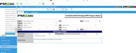 Article 199 Using Project Management Information System To Digitize