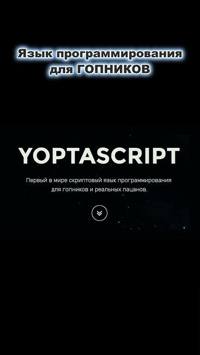 Язык программирования для ГОПНИКОВ Youtube
