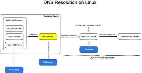 How To Flush DNS Cache On Linux Devconnected