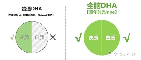 宝宝DHA产品大比拼哪款更适合宝宝补充脑白质脑灰质同补是关键童年时光inne全脑DHA更全面 知乎