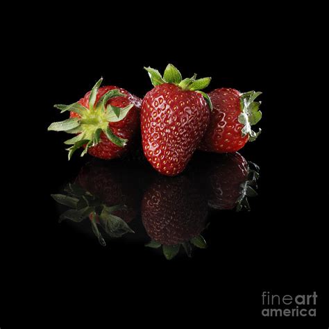 Strawberry Photograph By Josep Maria Penalver Fine Art America