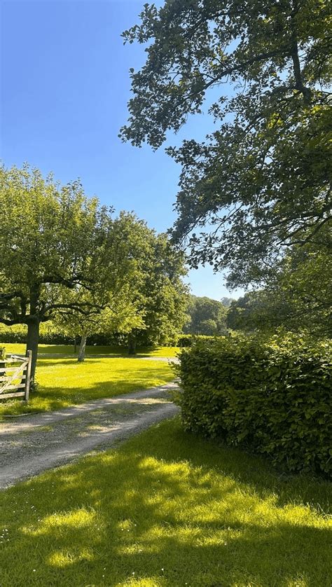 Garden Rpics
