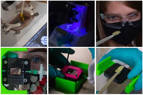 Rice Team Creating Insulin Producing Implant Eurekalert