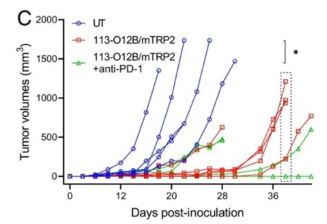 Frédéric Sengler On Linkedin Lipid Nanoparticle Mediated Lymph Node