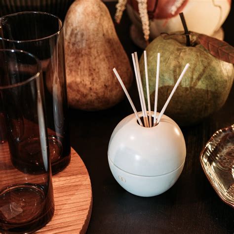 Ceramic Orb Vessel Diffuser Onyx And Pearl