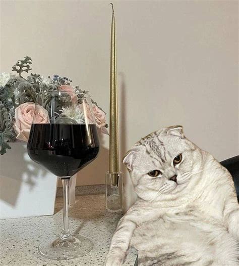 Пин от пользователя Niqws на доске This Picture в 2024 г Милые рисунки Кот Мимы