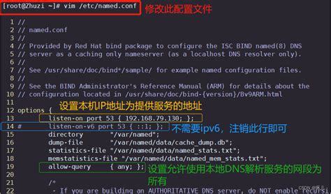 Linux中dns域名解析服务（附dns正反向解析实验及主从域名服务器实验详细过程）dnsmasq 反向解析 Csdn博客
