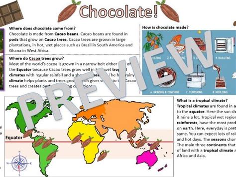 Chocolate Knowledge Organiser And Assessment Quiz Teaching Resources