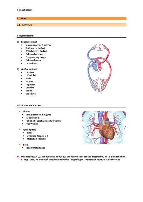 Zsf 3 Herz Zusammenfassung Kapitel 3 Herz Warning Tt Undefined
