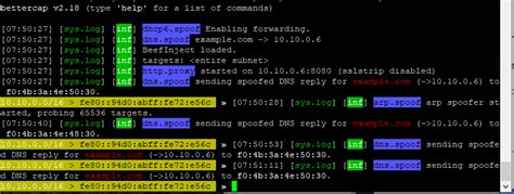 bettercap dns spoofer injectjs · issue 469 · bettercap bettercap