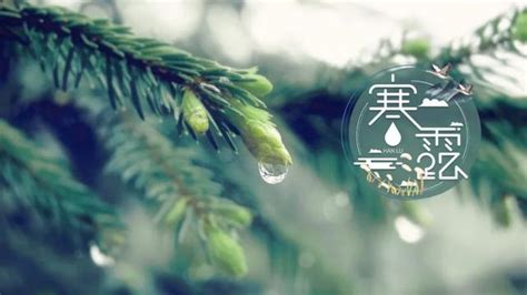 一天一首古詩詞 寒露節氣詩詞白居易池上 每日頭條