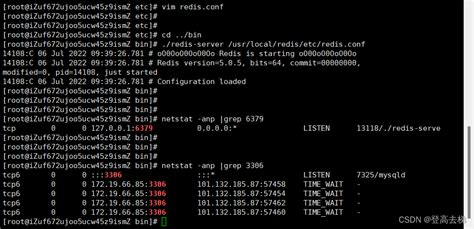 Linux Netstat命令 来查看端口是否被占用linux端口6000 Csdn博客