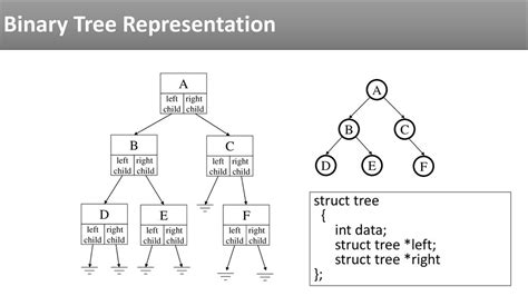 Trees In Data Structures Ppt Download