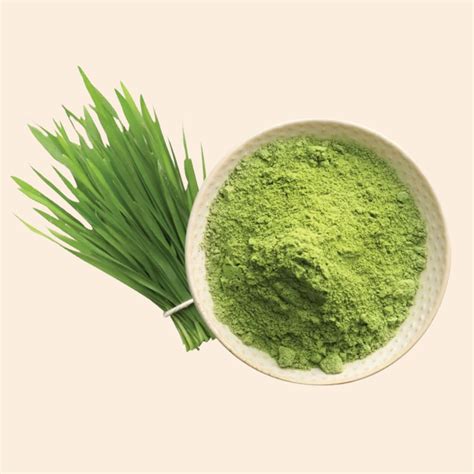 Wheatgrass Powder â€“ Natural Detox Energy Booster And Immunity Support