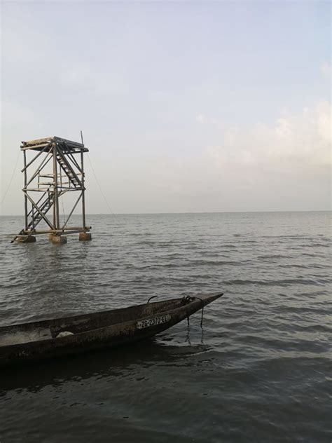 Casamance Lamentins Et Rando De La Pointe Saint Georges